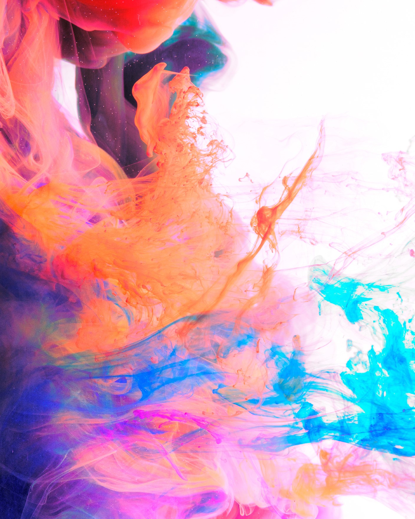 Poli Art Design